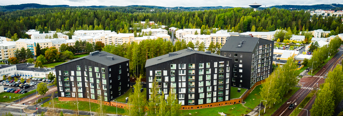 Referenssi: Lakea - Avanio